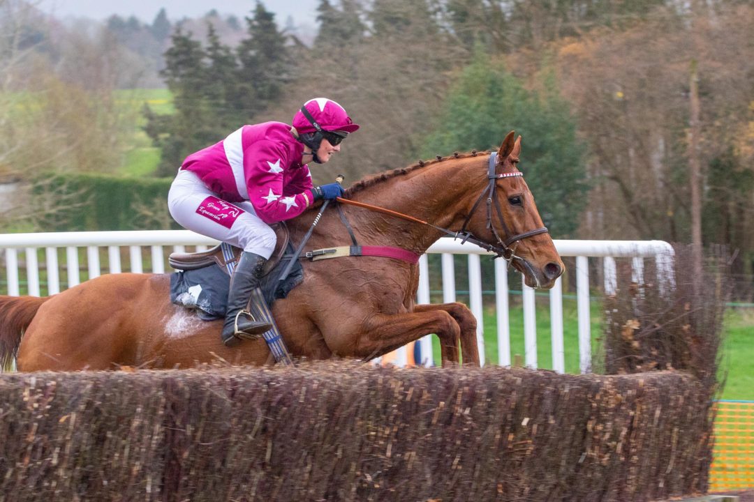 The new jockey profiles are here. - Point to Point South East